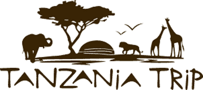 טנזניה טריפ | טיול לטנזניה
